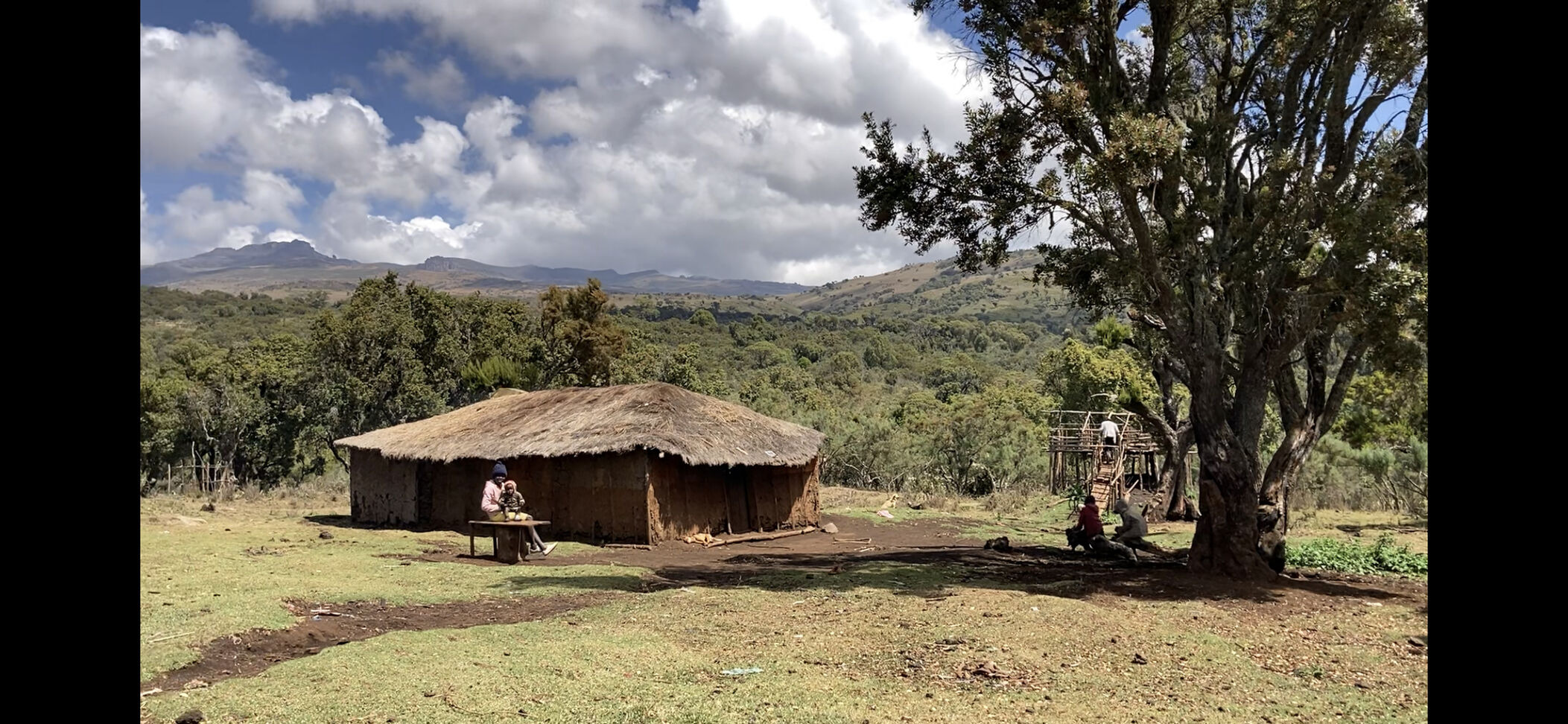 Transforming Conservation: exploring the relationship between ...