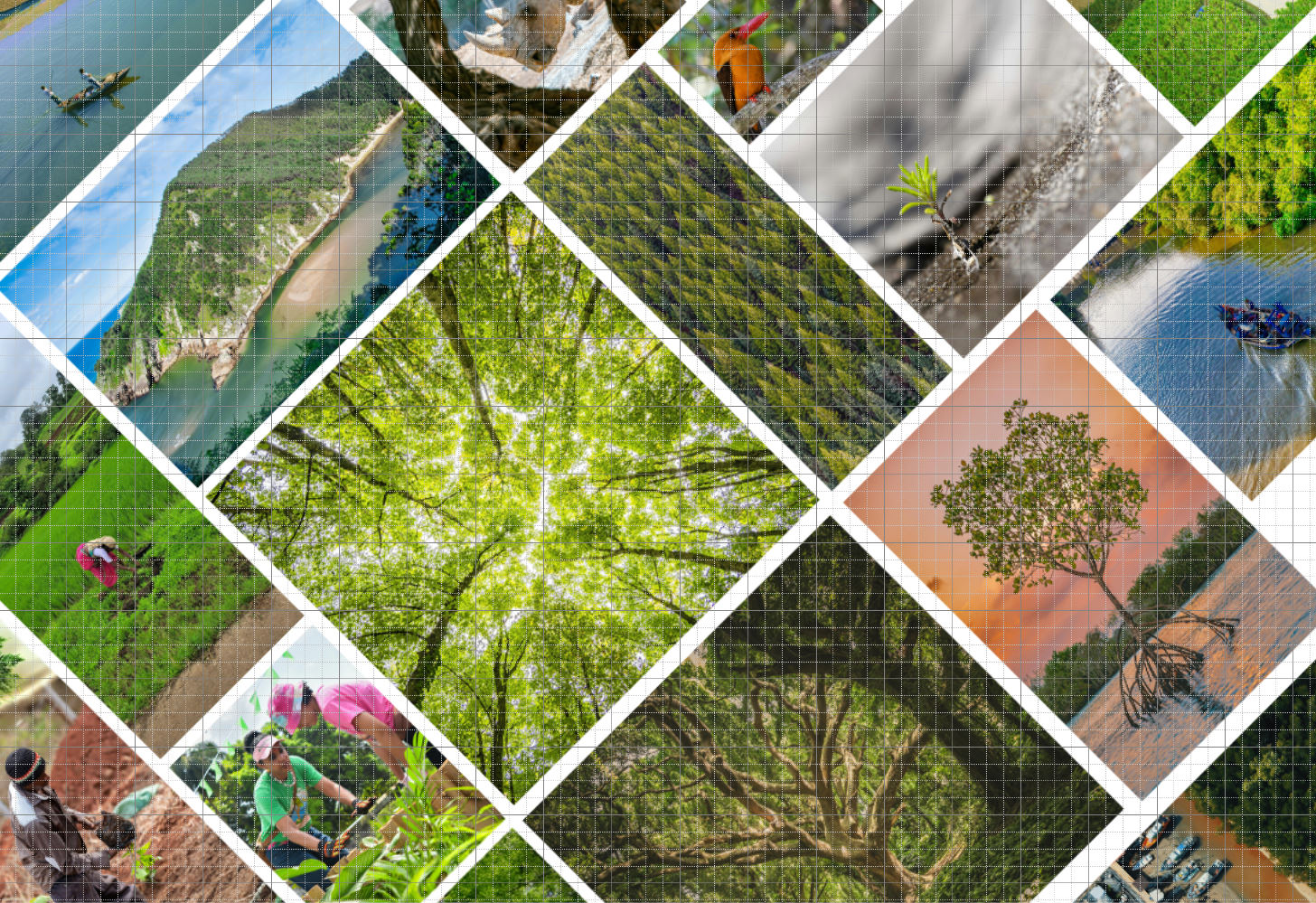 Innovative climate-with-biodiversity-positive projects to receive boost ...