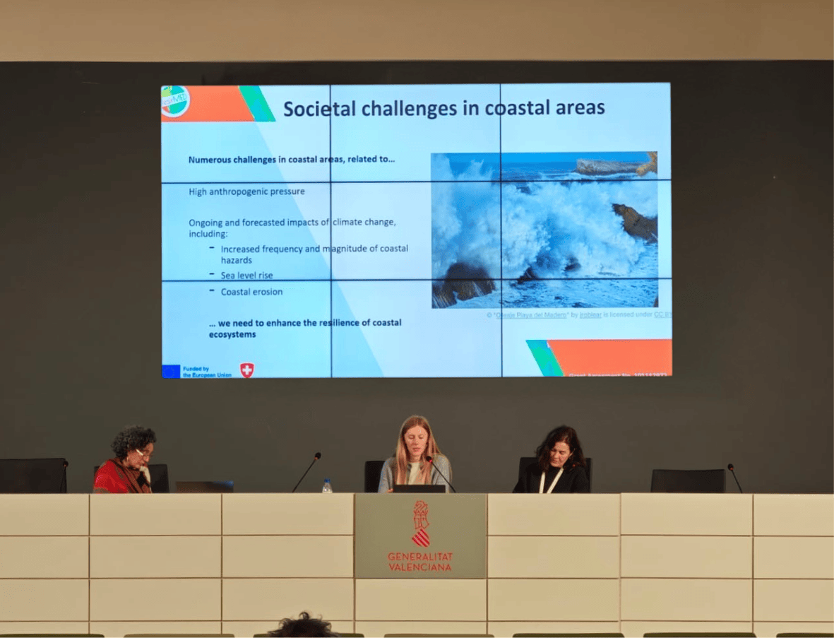 Salvation through harmony: Multilateralism revived with CBD COP16 - Story | IUCN