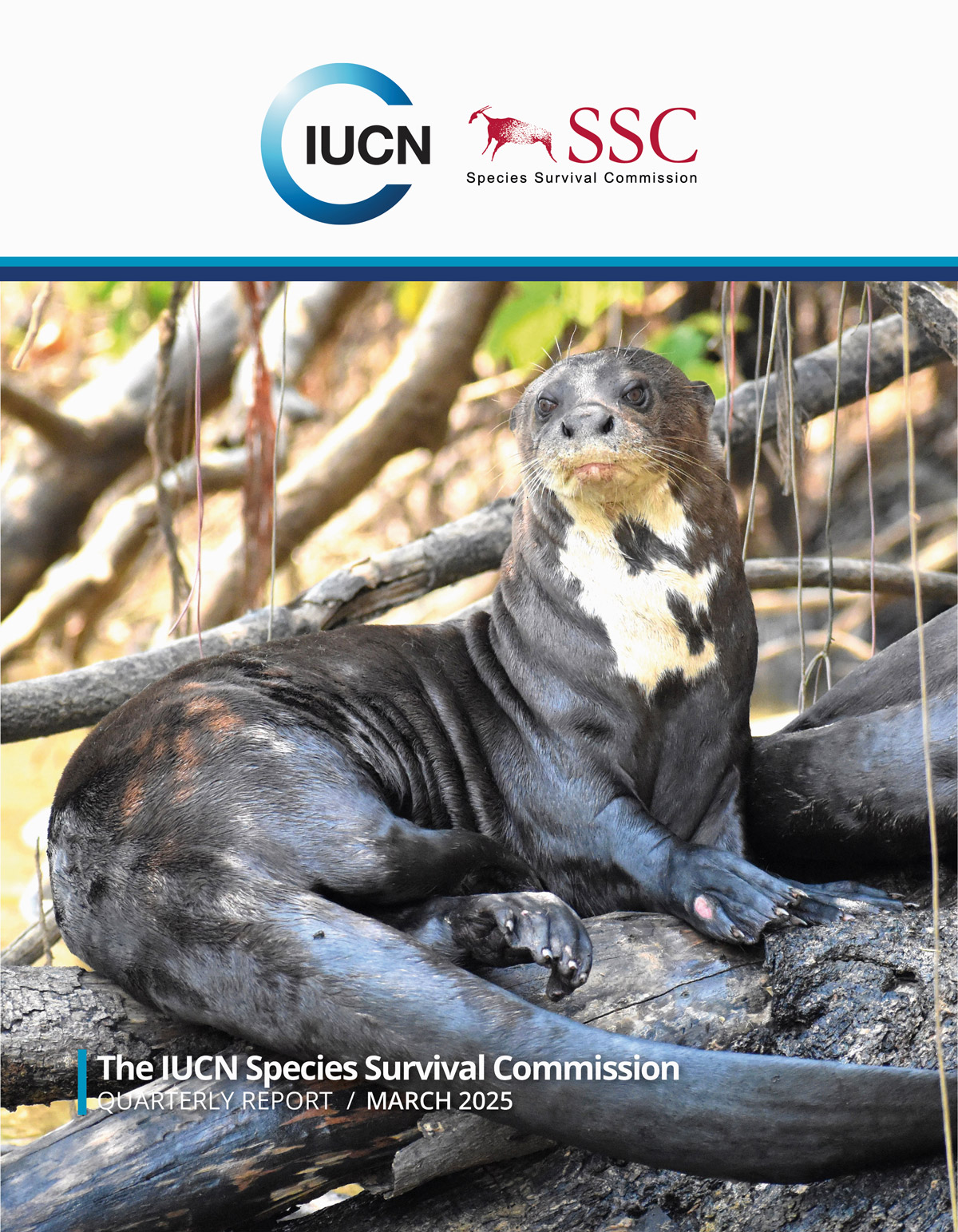 IUCN Red List of Ecosystems - resource | IUCN IUCN Red List of Ecosystems - resource | IUCN