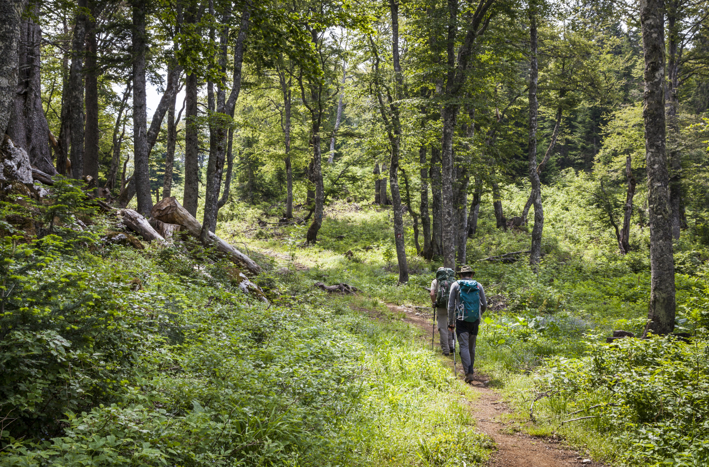 What’s next for nature after the Dubrovnik Declaration? - Blog | IUCN