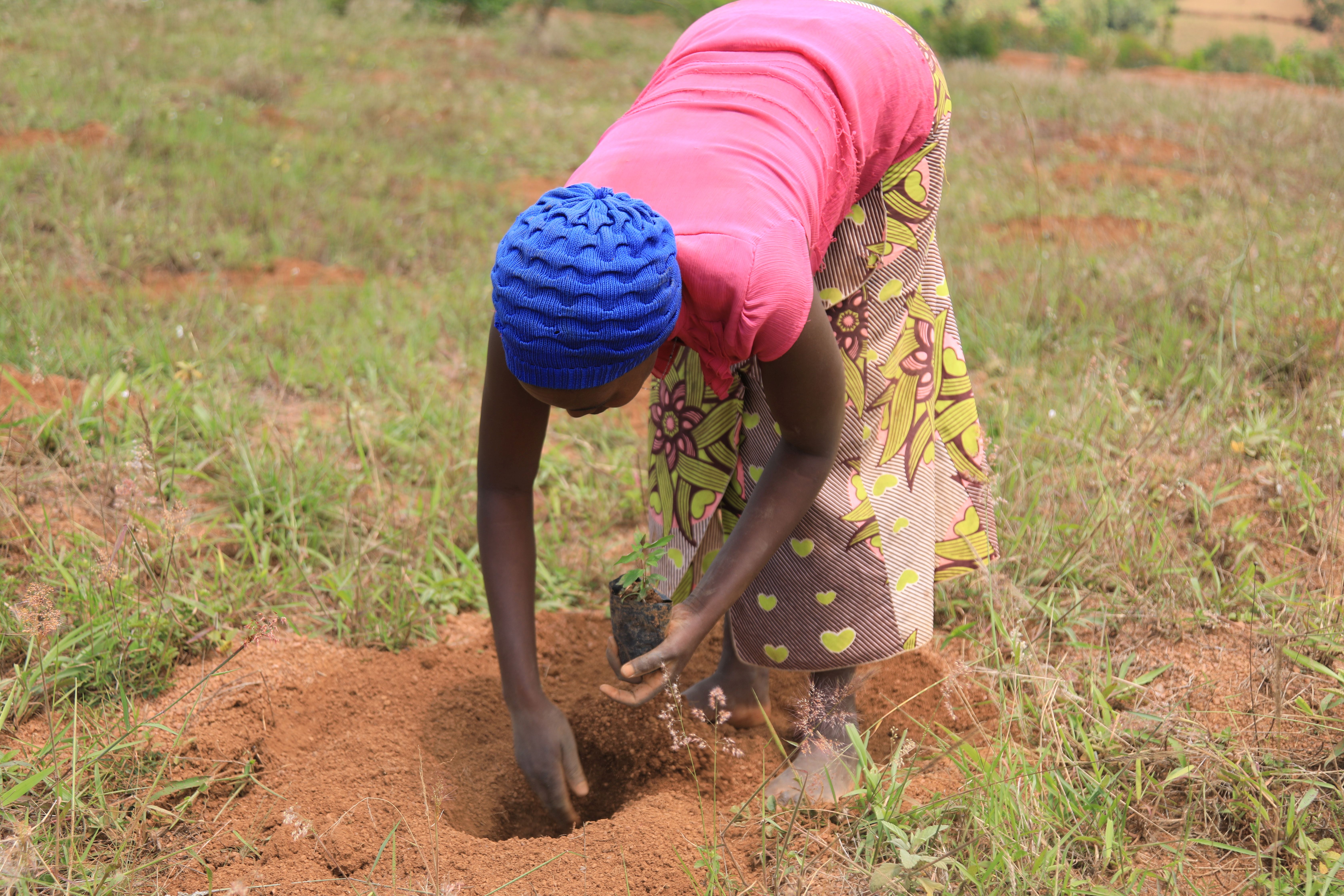 Women at the Heart of TREPA’s Land Restoration in Rwanda’s Eastern ...