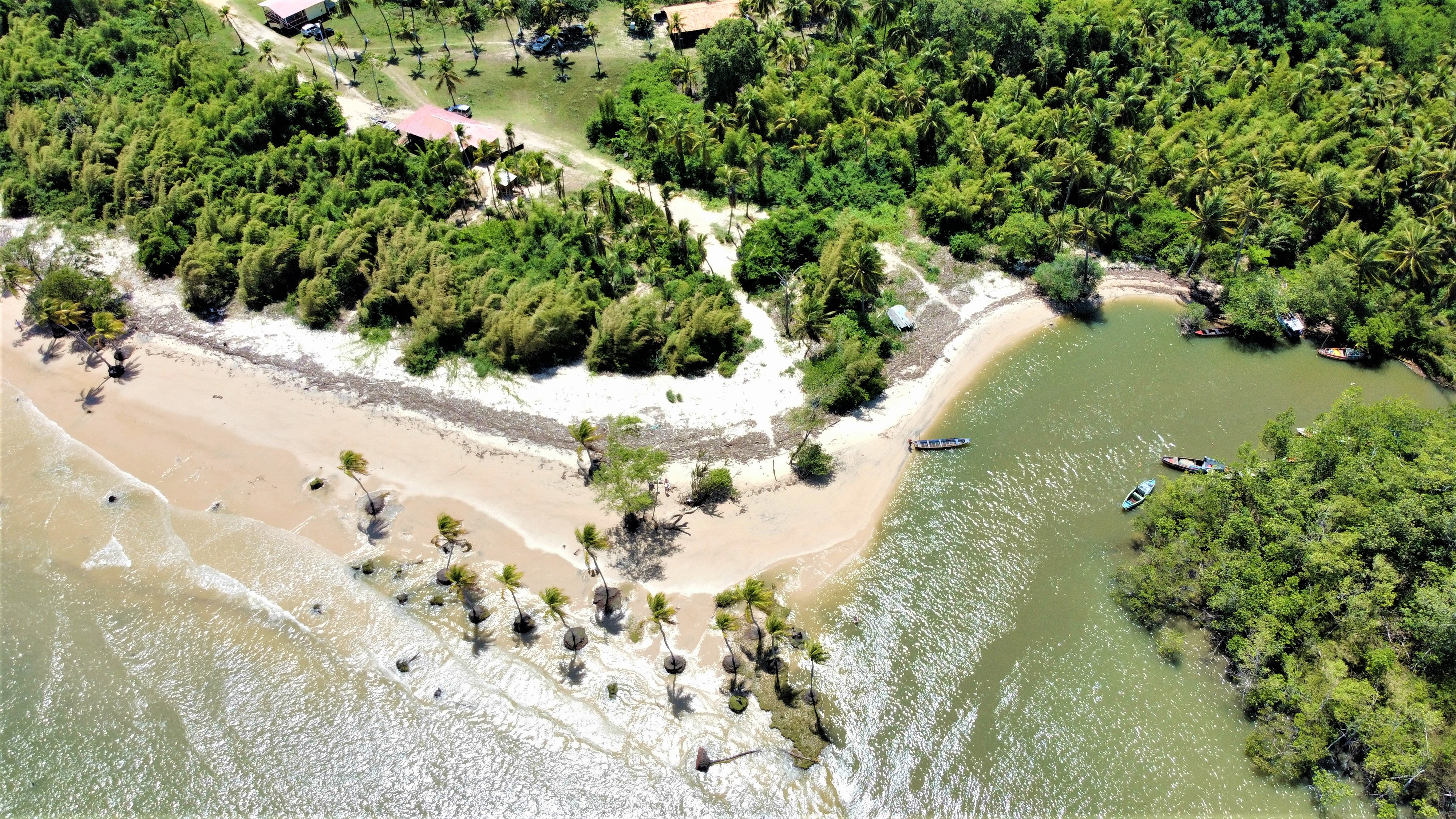 Tech4Nature: How low-cost innovation and traditional knowledge are helping Amazonian communities ...