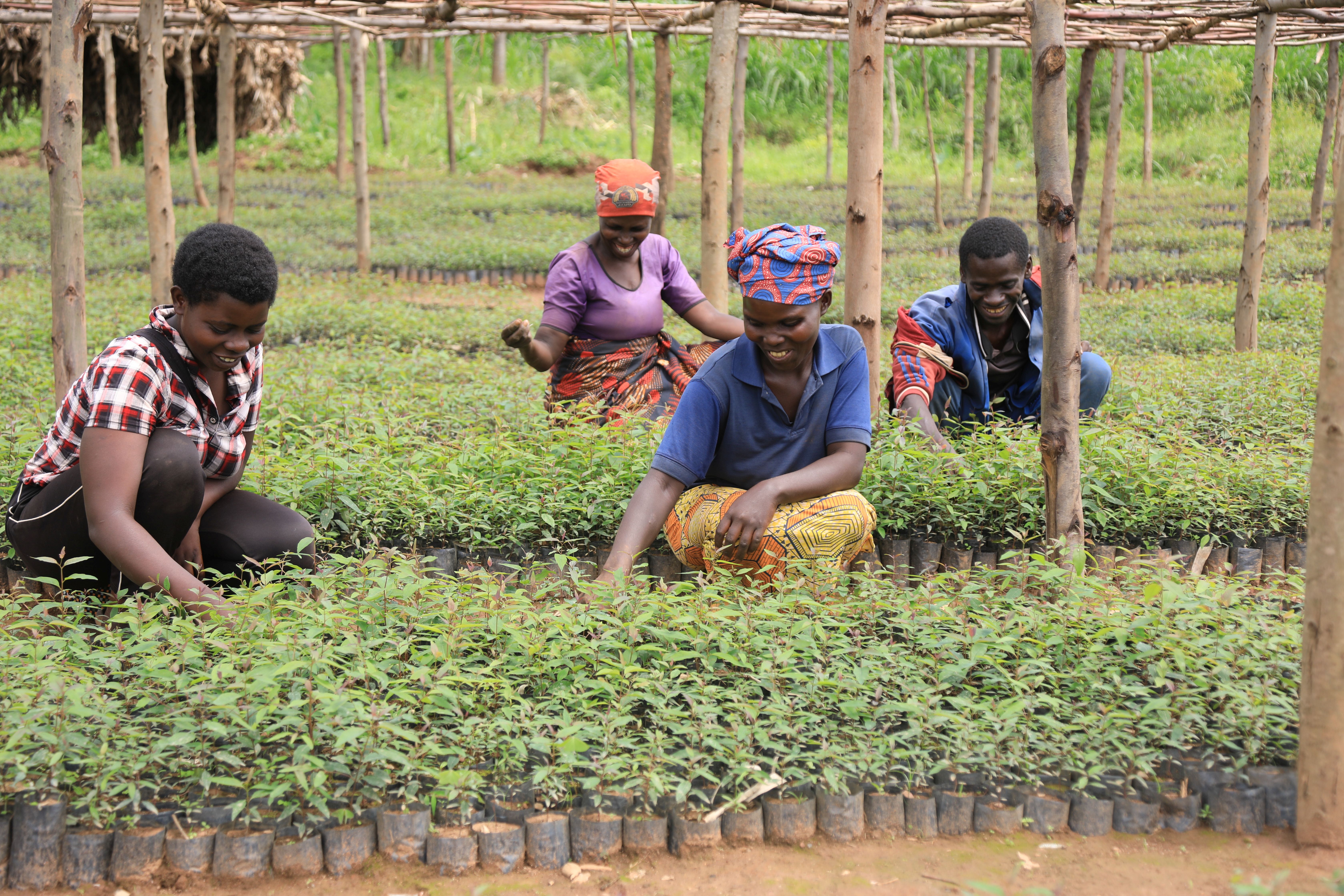 Women at the Heart of TREPA’s Land Restoration in Rwanda’s Eastern ...
