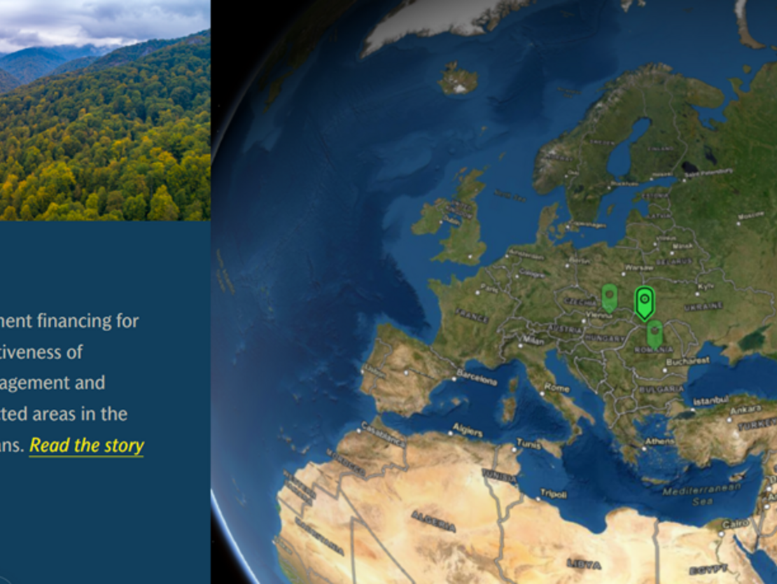 Not all forests are equal - A story map - Story | IUCN