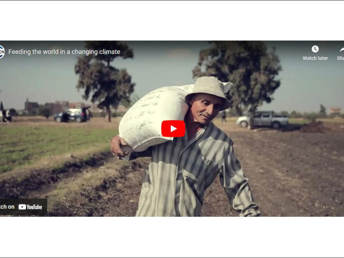Feeding the world in a changing climate - News | IUCN