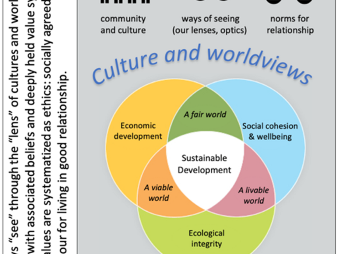 Special Issue: the Roles of Culture and Values in Sustainable ...