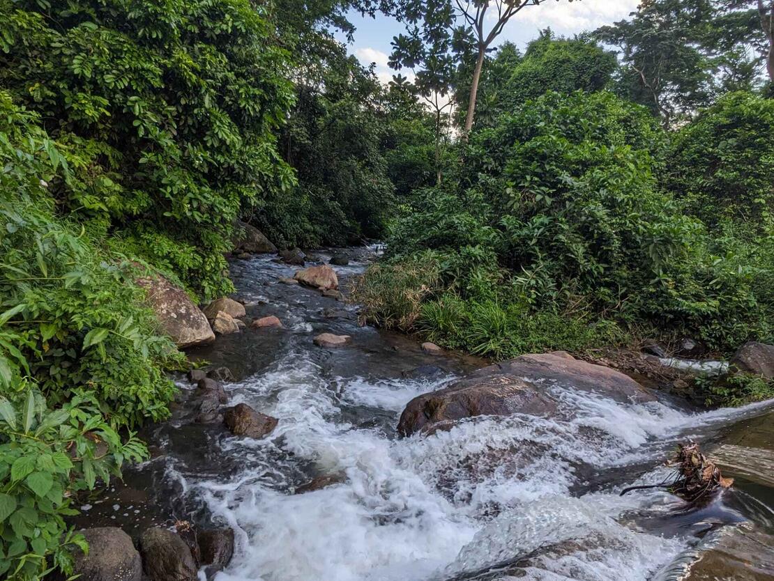 Scaling Up Nature-Based Solutions for Climate Resilience in Tanzania: IUCN and NORAD Launch ...